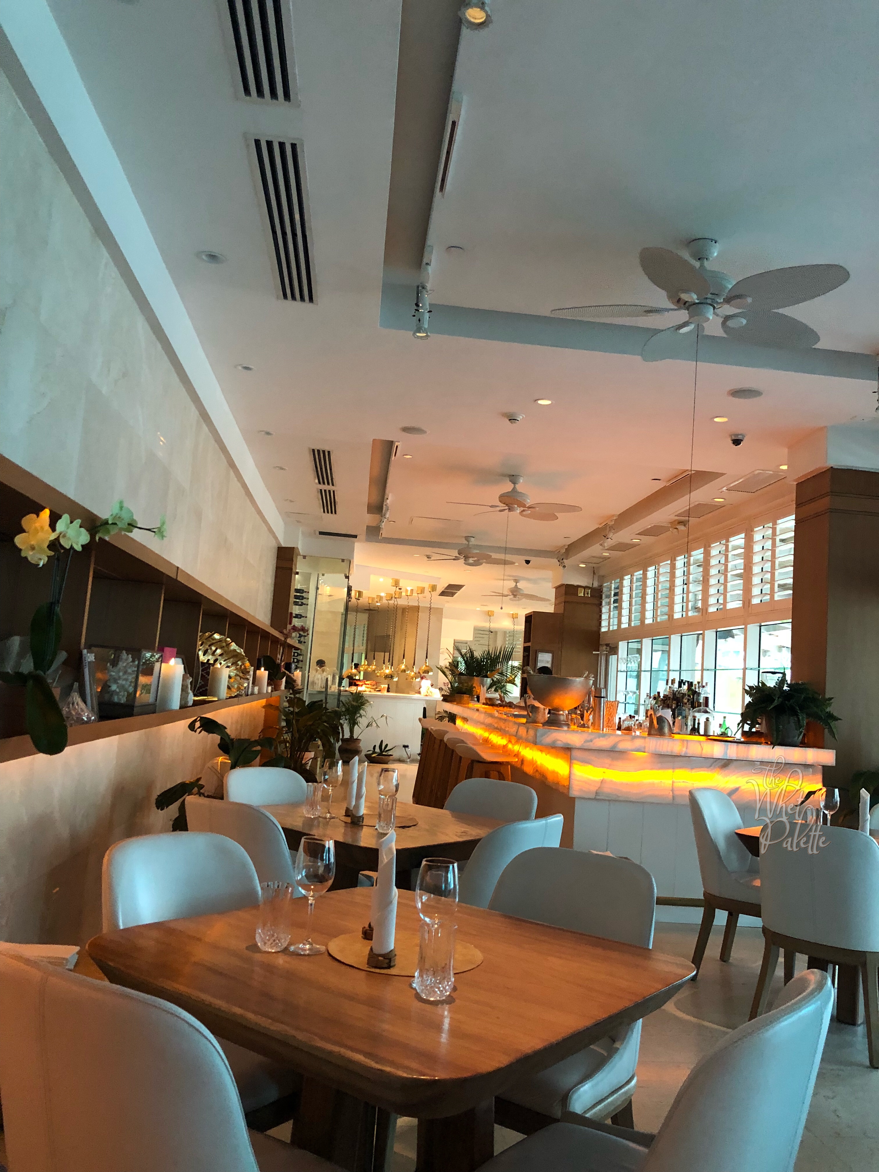 The Whet Palette Productions El Cielo Miami